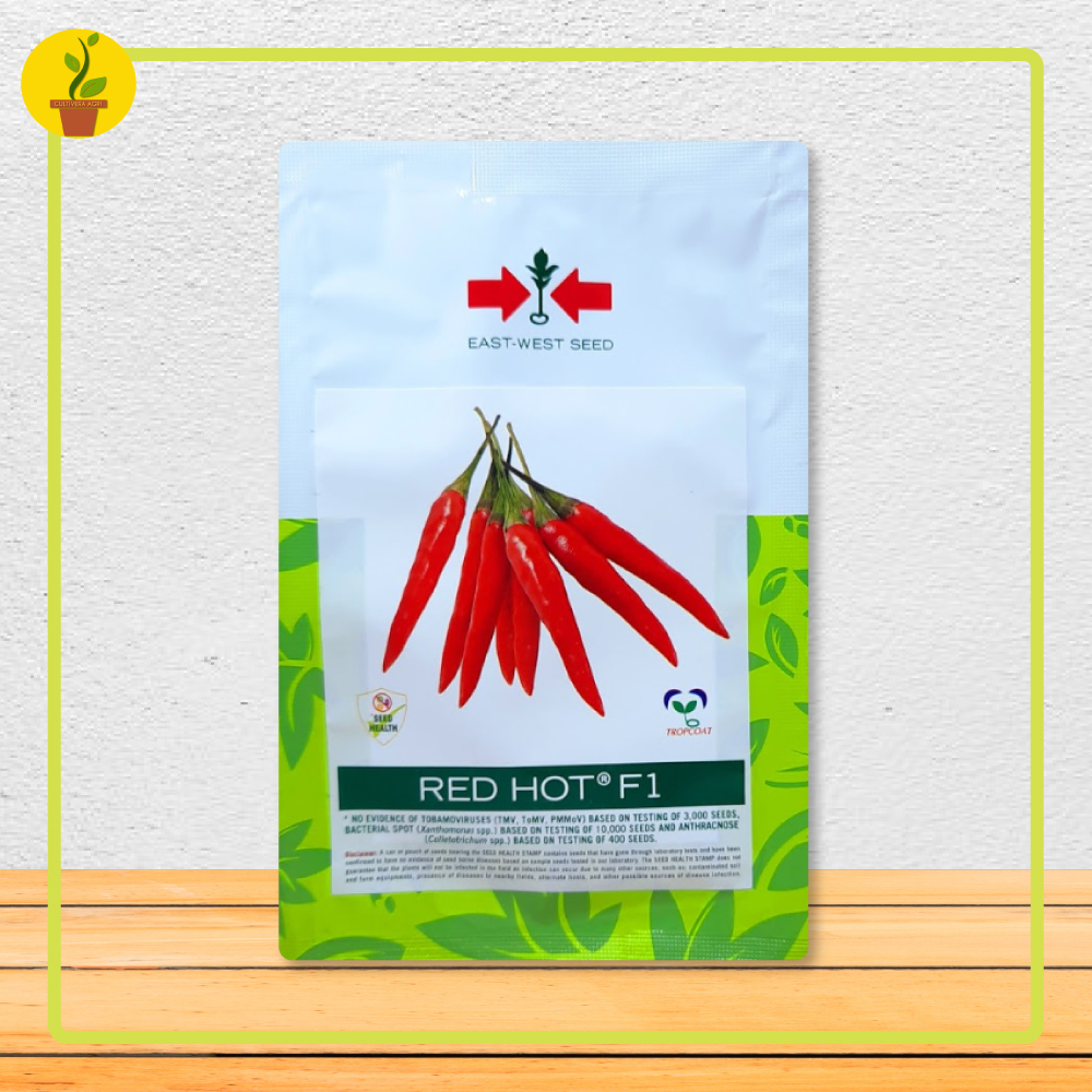 Hot Pepper Seeds (Red Hot F1 Variety) [425 Seeds Asenso Pouch ...