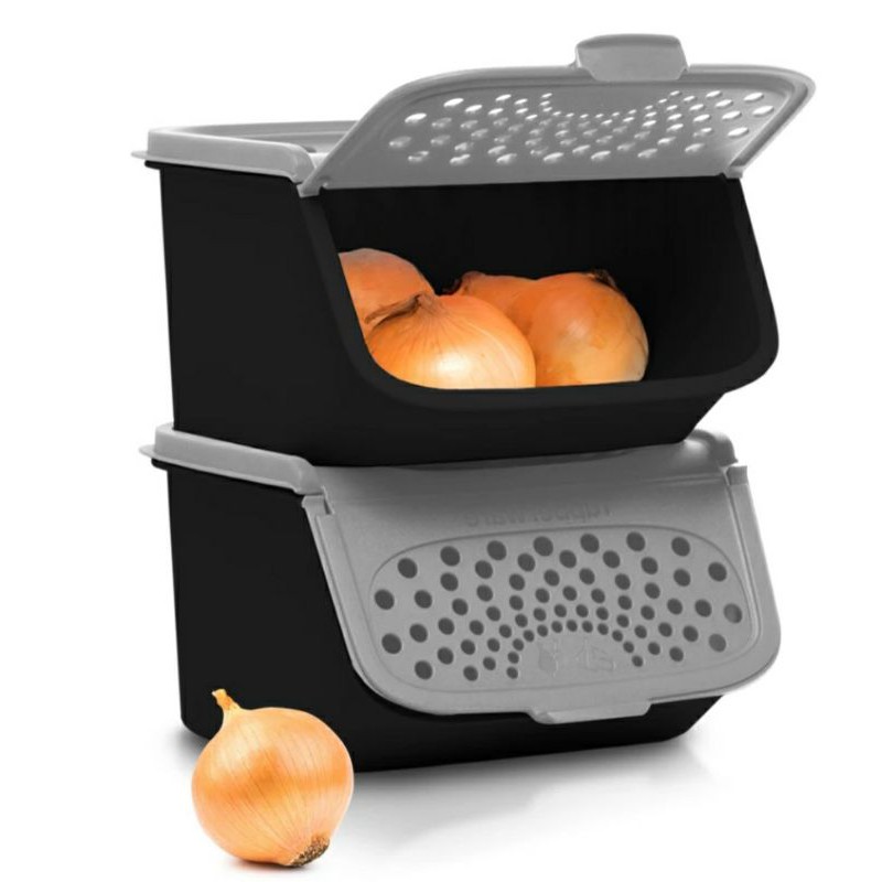 Tupperware Veg Out 2.3 L each | Lazada PH