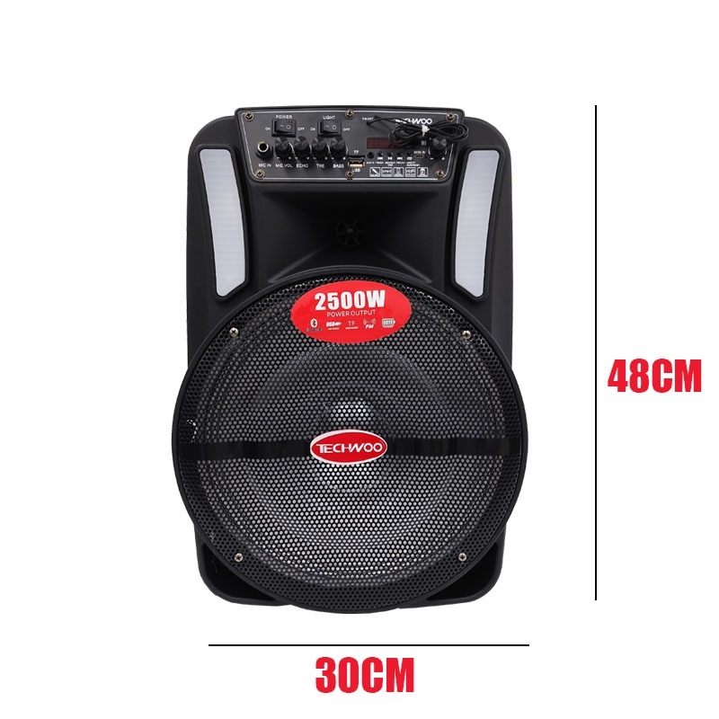 The new 2022 TECHWOO 12 INCH PORTABLE BLUETOOTH SPEAKER WITH LED LIGHTS ...