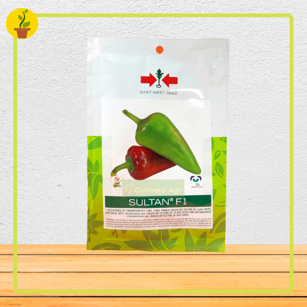 Sweet Pepper Seeds (Sultan F1 Variety) [360 Seeds Asenso Pouch ...