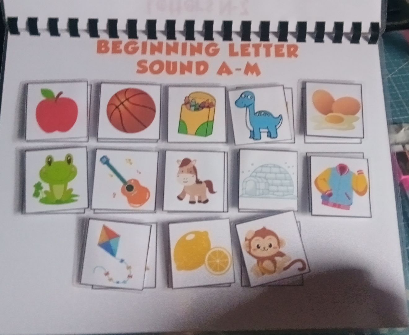 A-M Beginning Letter Sound Matching Activity for Busy Book Laminated ...