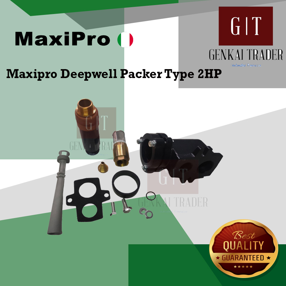 Maxipro Deep Well Water Pump 1HP with Injector and Adapter ITALY ...