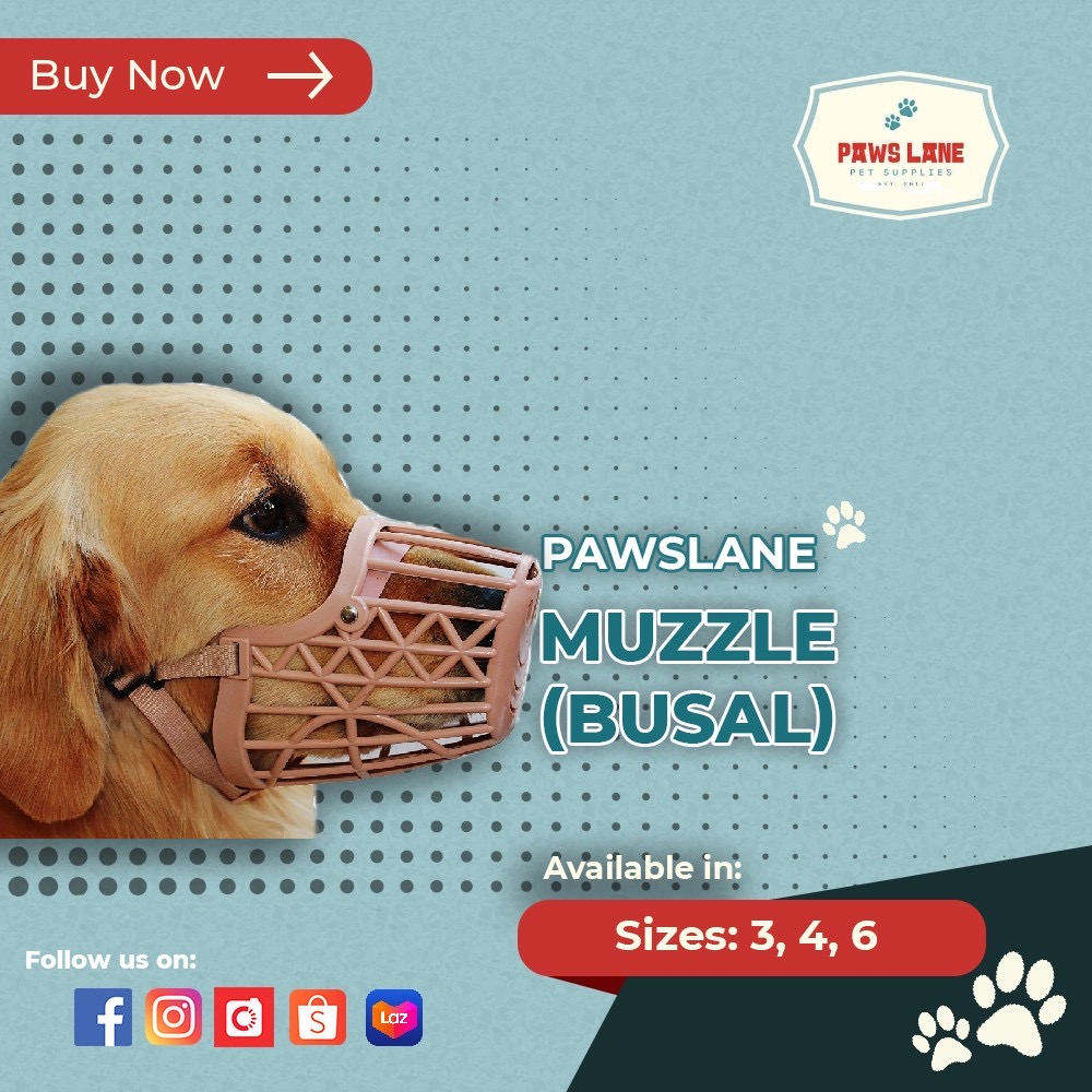 Pet Muzzle / Pet Busal Size 3 | Lazada PH