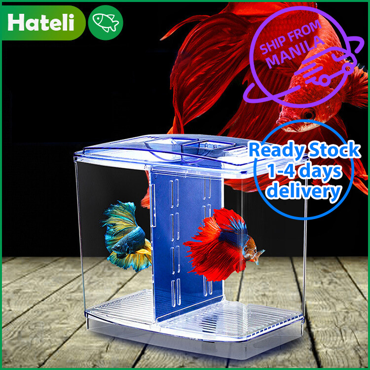[HATELI] betta fish tank (16*14.5*9cm，Incubation + Rearing) Aquarium ...