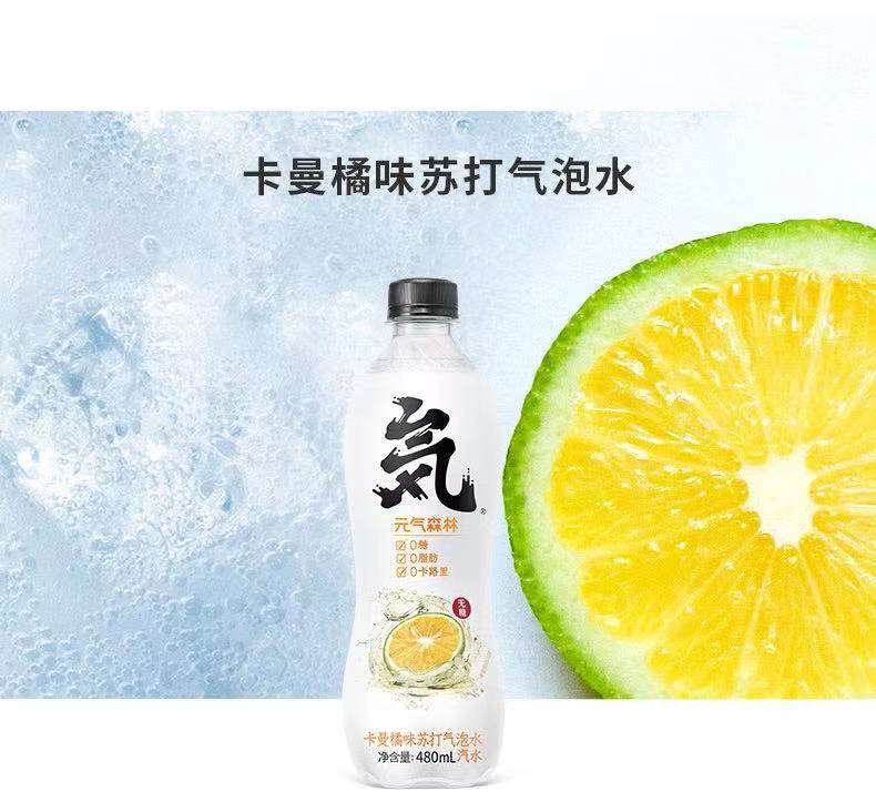 GM Sugar Free Genki Forest Soda Sparkling Water Carbonated Drinks 480ml ...