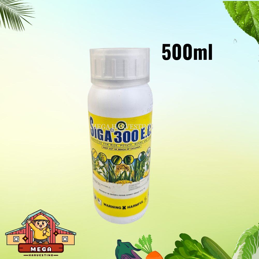 SIGA 300 EC 1L 500ML INSECTICIDE FOR CROPS RICE CORN POTATO BEANS KILL ...