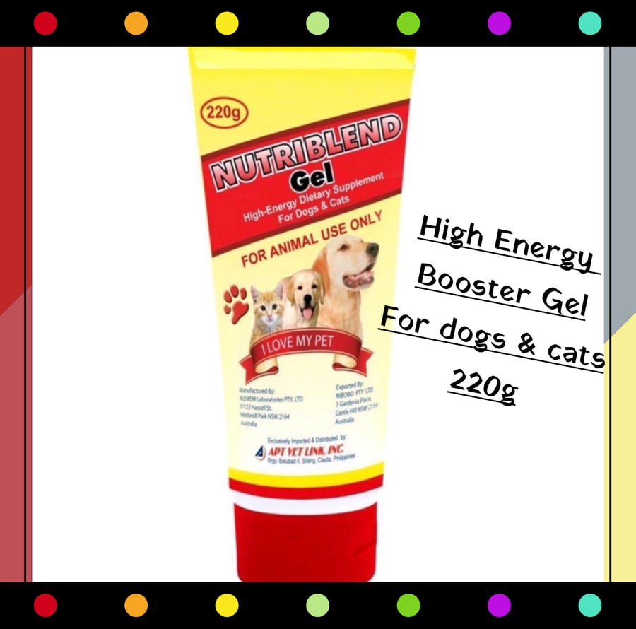 Why Is My Dogs Ph High