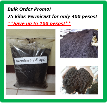 25 kilos Pure Vermicast direct from Vermiculture Farm, Premium ...