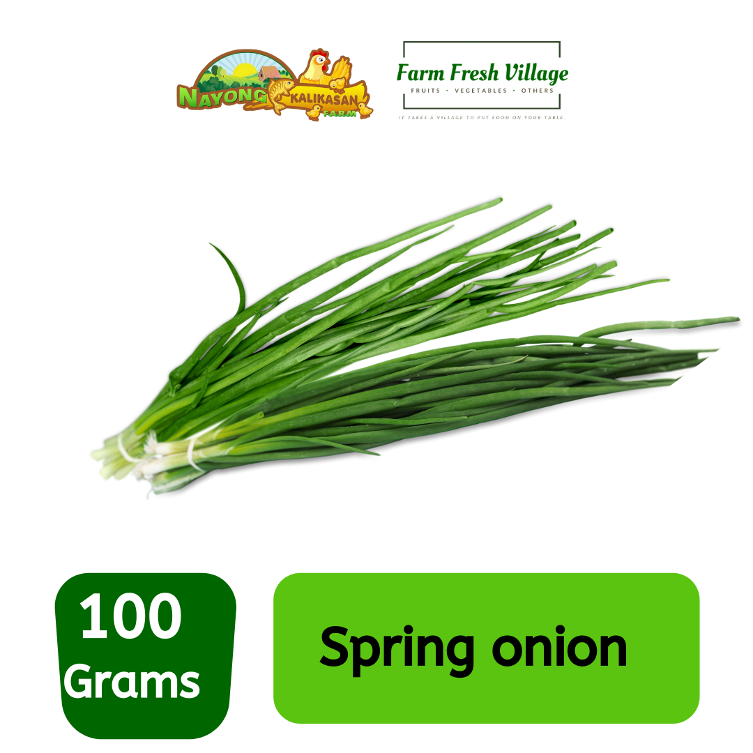 FARM FRESH VILLAGE - Spring Onion 100 grams | Lazada PH