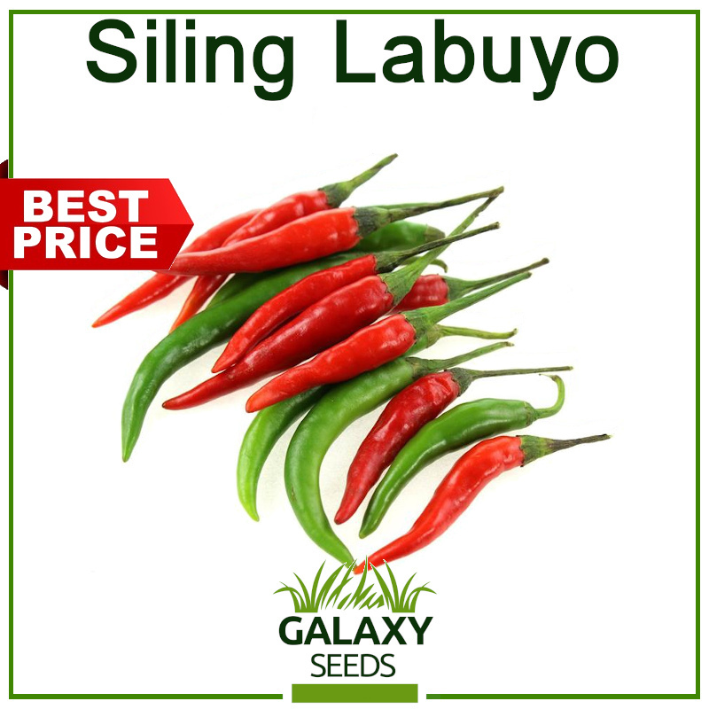 [Galaxy Seeds] Value Pack - Siling Labuyo Seeds for Planting Vegetable ...