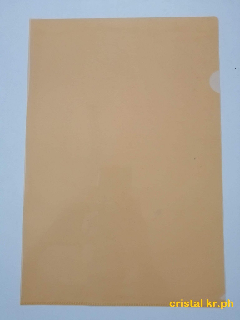 Folder L type Plastic Clear White and Colored Short 12pcs | Lazada PH