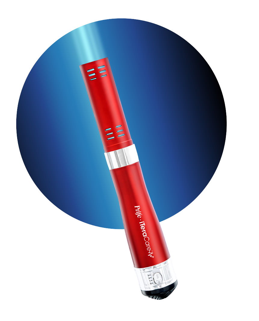 Itera-Classic Hot Air Blower | Lazada PH