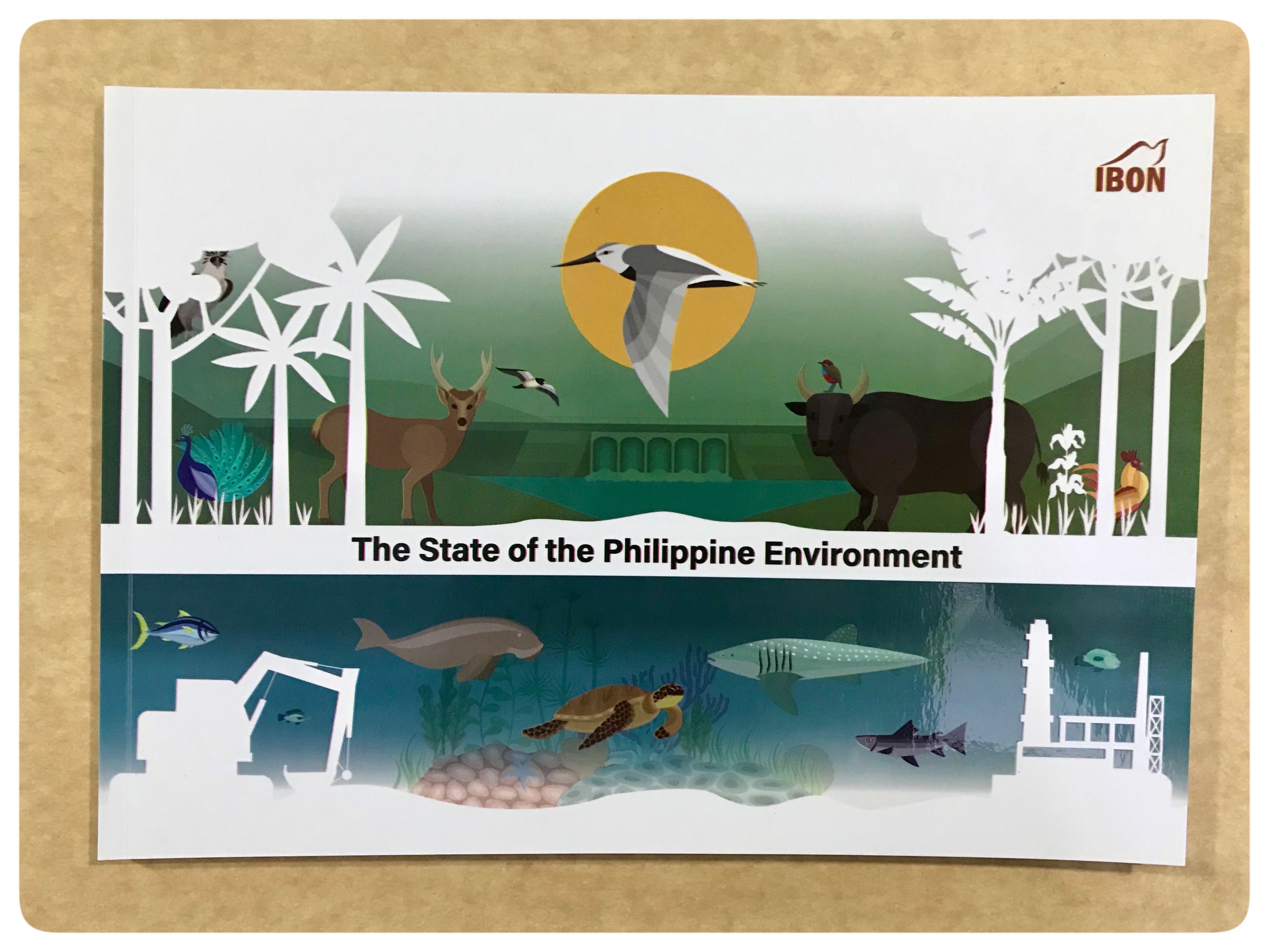 The State of the Philippine Environment | Lazada PH