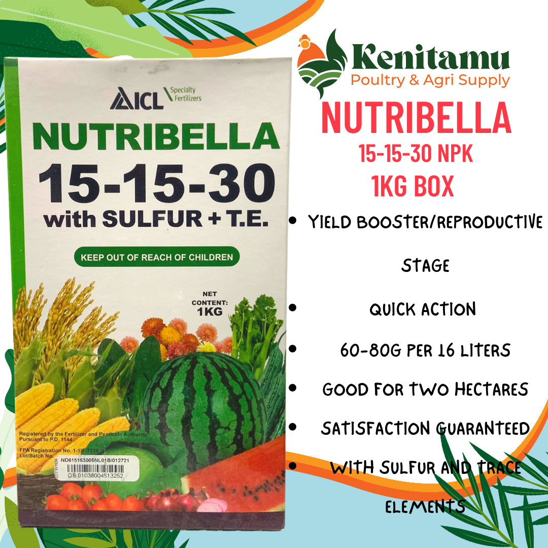 NUTRIBELLA 15-15-30NPK 1KG BOX FOR PLANT CARE AND CROPS/ FAST ACTING ...
