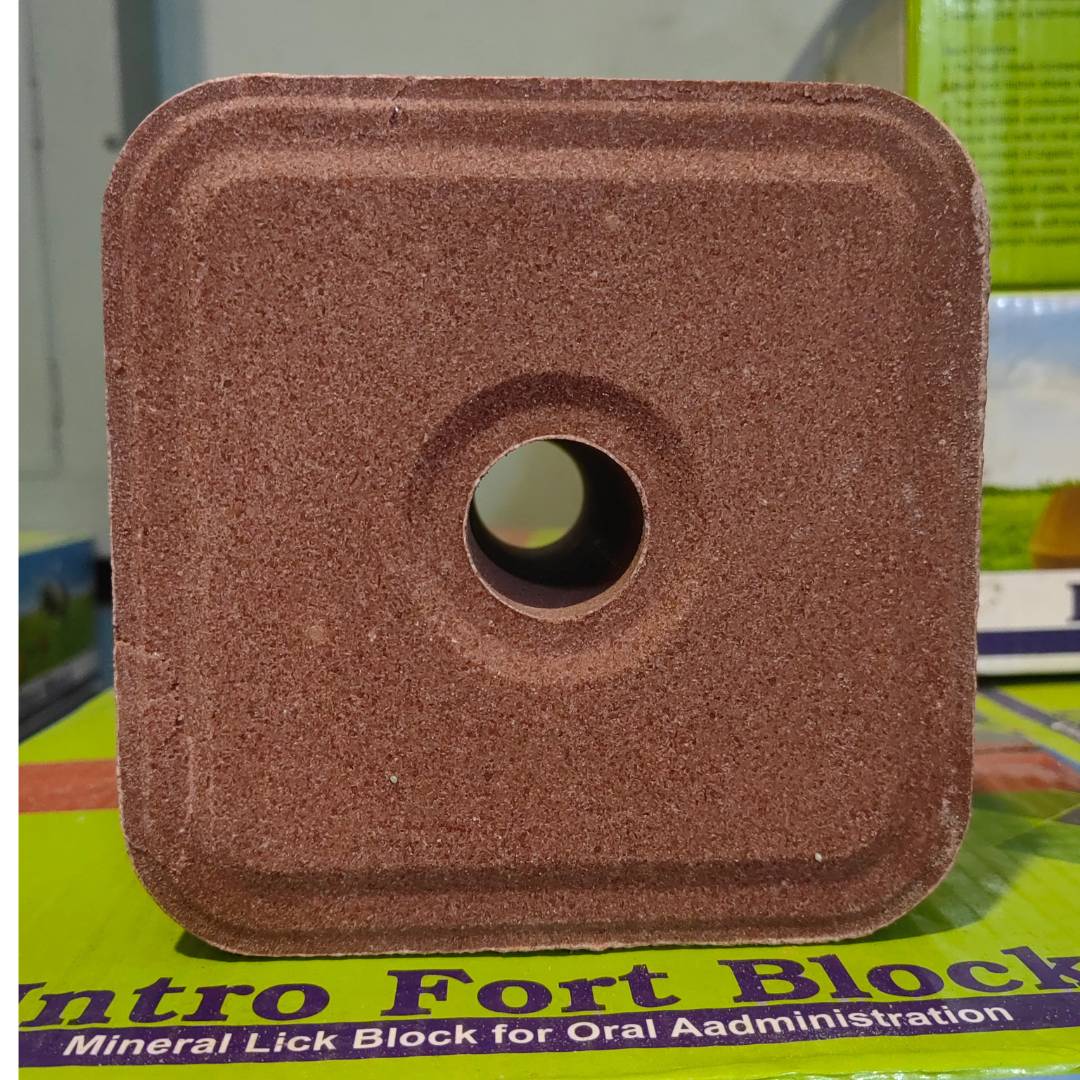 Mineral Block 5 kgs Intro Fort Block Mineral Block 5kgs Holland for ...