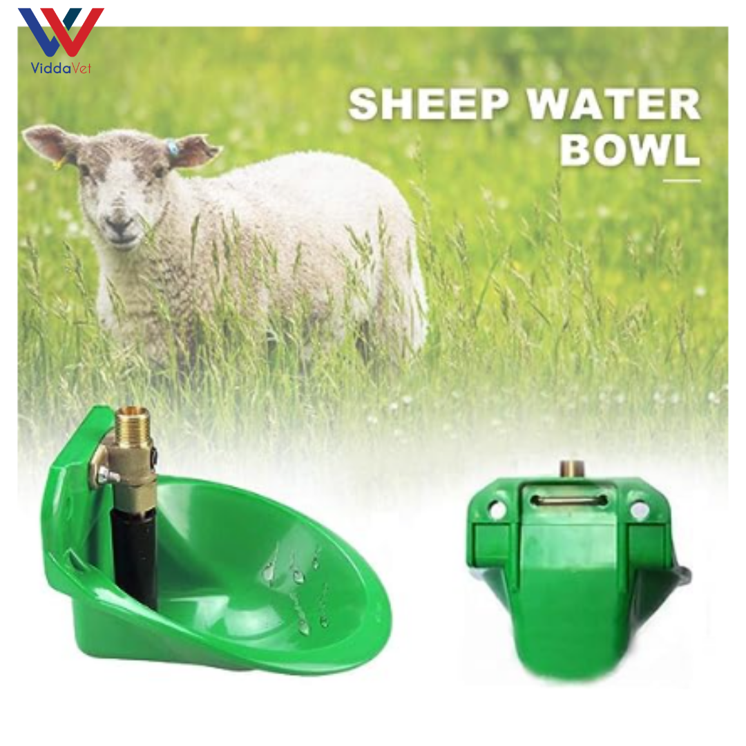 Automatic Waterer Bowl Goats Waterer Sheep Drinking Water Bowl ...