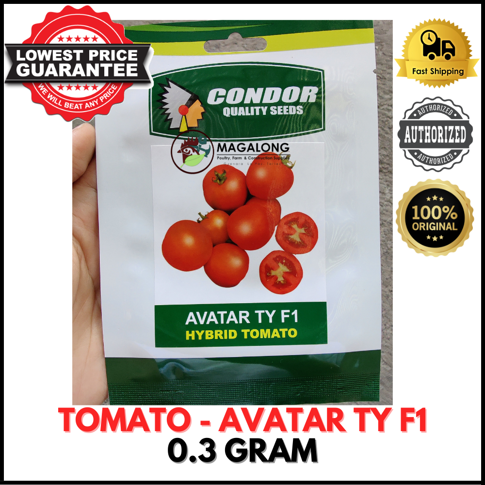 CONDOR SEEDS - TOMATO SEEDS - AVATAR TY F1 HYBRID 0.3 Grams | Lazada PH