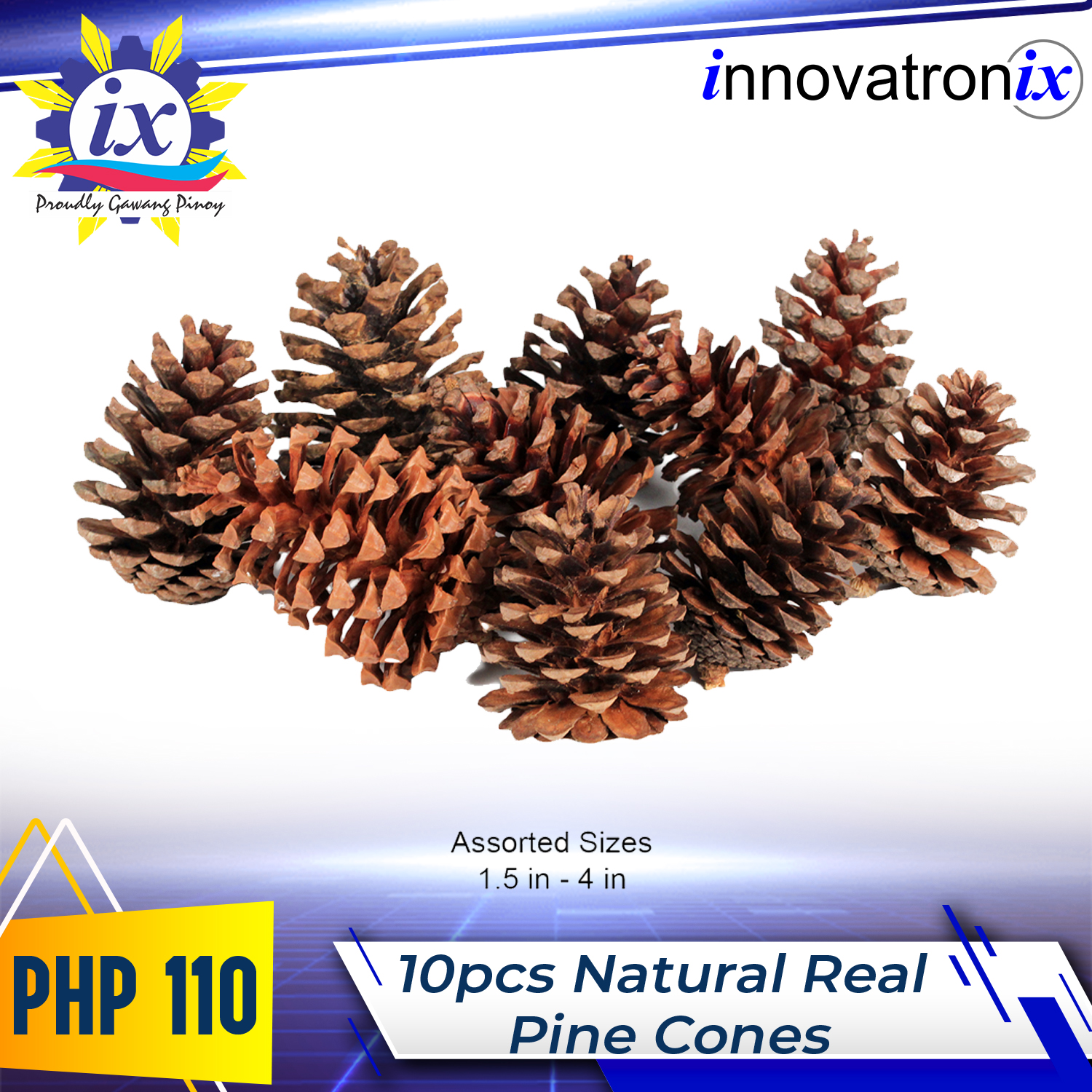 Innovatronix/Tronix Natural Real Pine Cones - Random Sizes Raw Pine ...