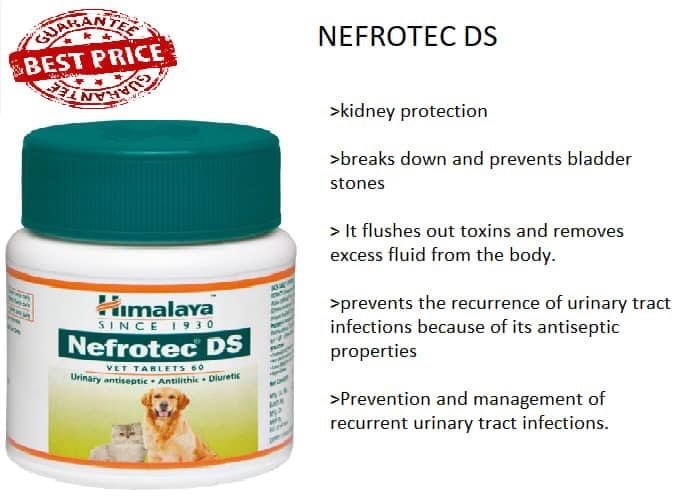 Himalaya Nefrotec Ds | Lazada PH