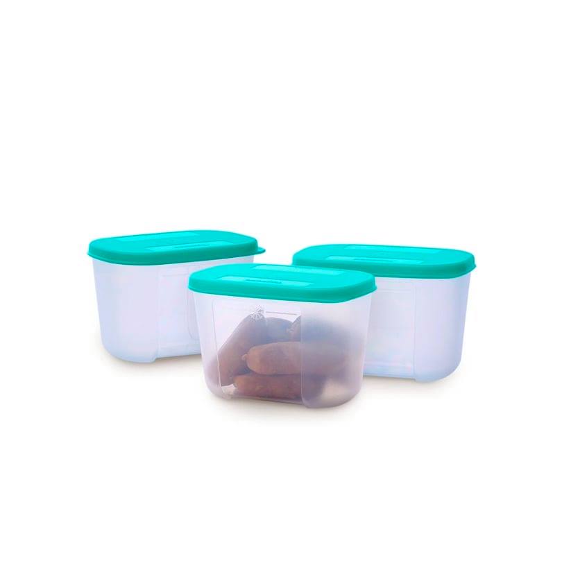 Tupperware 1PC Freezermates Paradise 290ml | Lazada PH