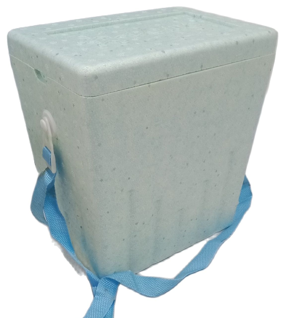 Styro Box Polar Ice Chest random color | Lazada PH