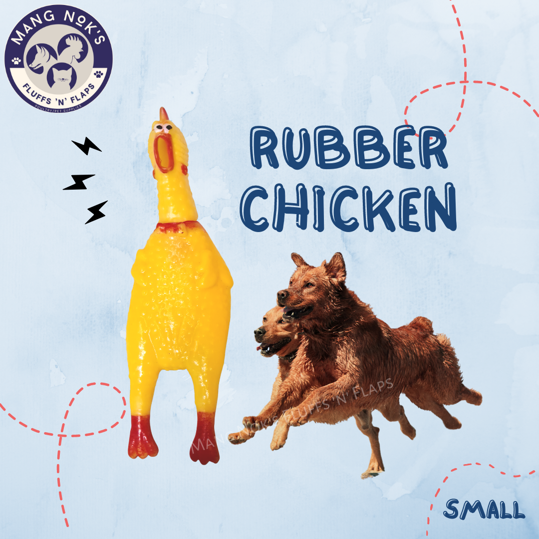 Small Squeaky Rubber Chicken for Pets | Lazada PH