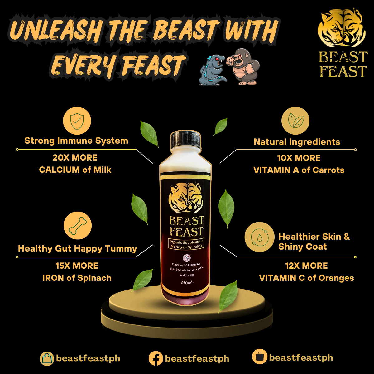 Beast Feast Multivitamins Supplement for Dogs, Cats & All Pets Natural ...