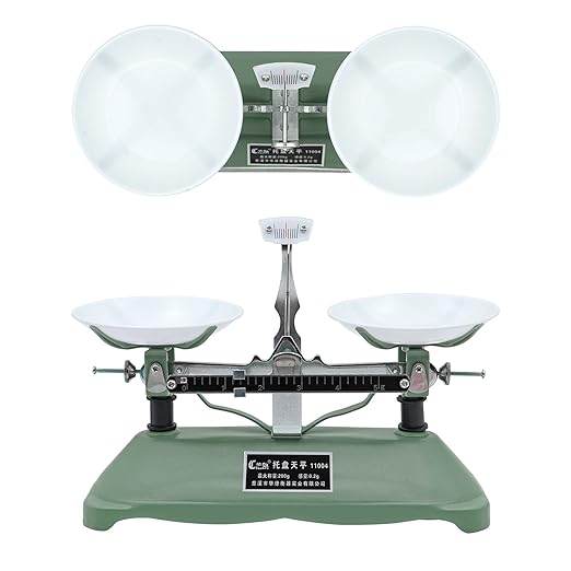 Mechanical Balance Scale Double Pan Balance Scale Balance Tray | Lazada PH