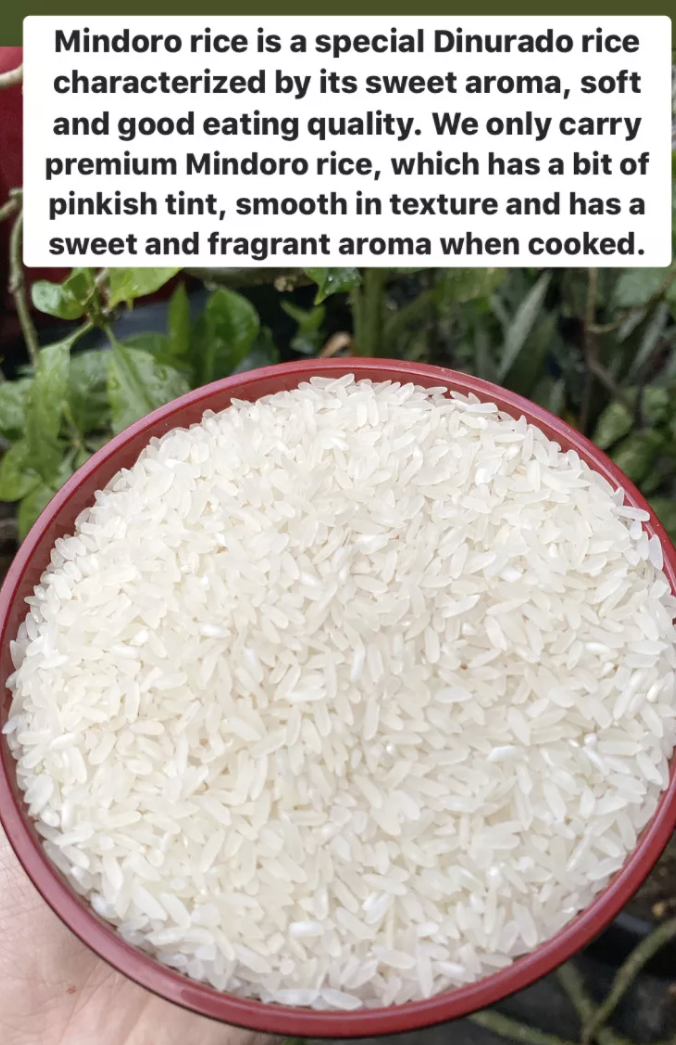 25KG Mindoro Panda Denorado Rice / Bigas | Lazada PH