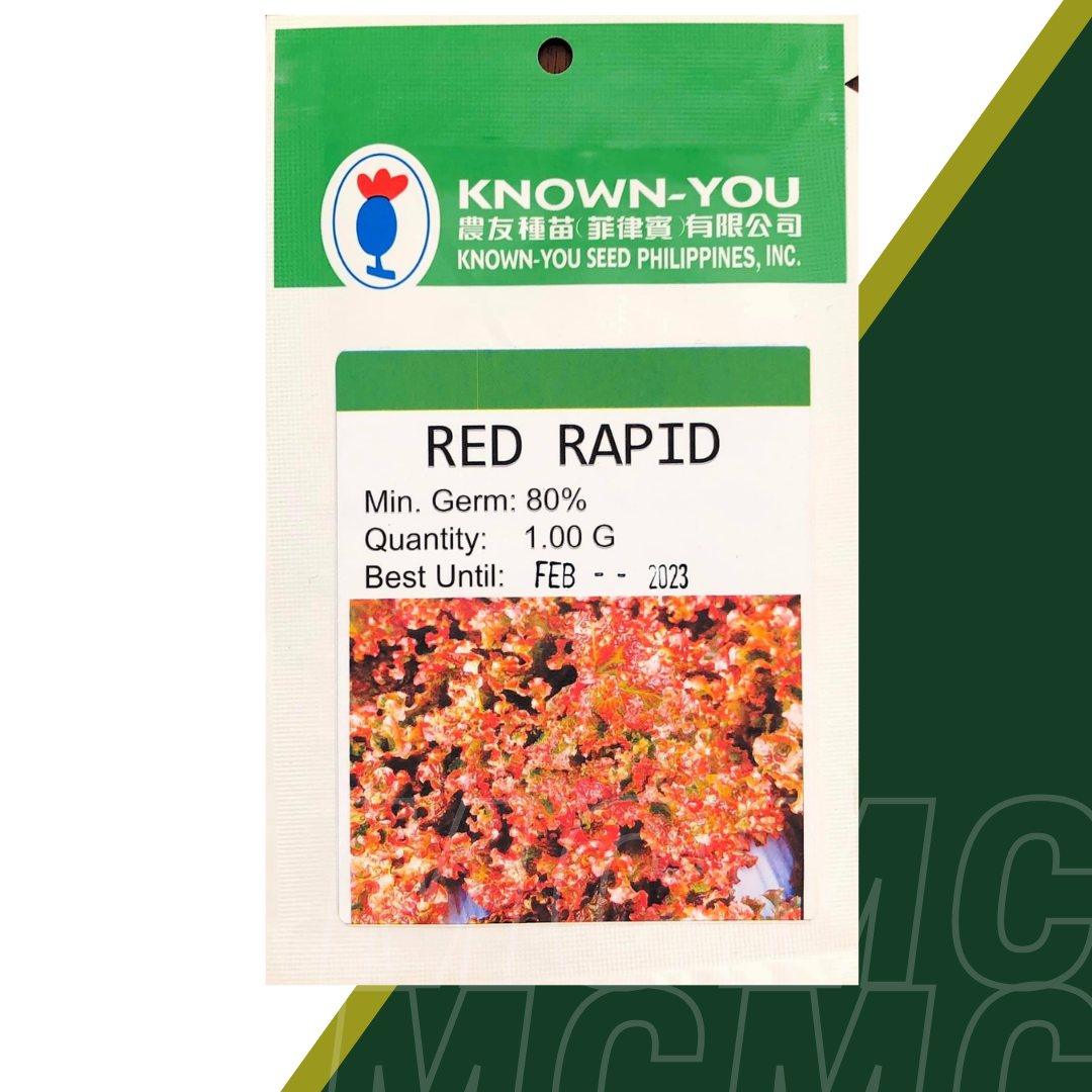 Known You Red Rapid | Lazada PH