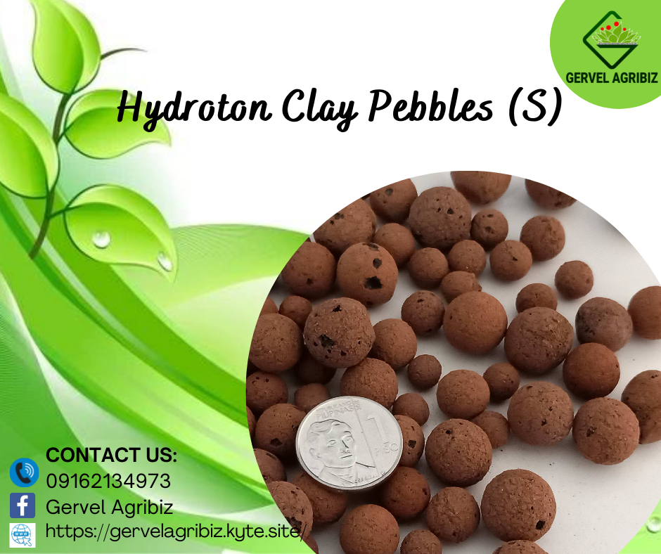 Hydroton Clay Pebbles or Light Expanded Clay Aggregate or LECA for Hydrophonics and Plants, big ...