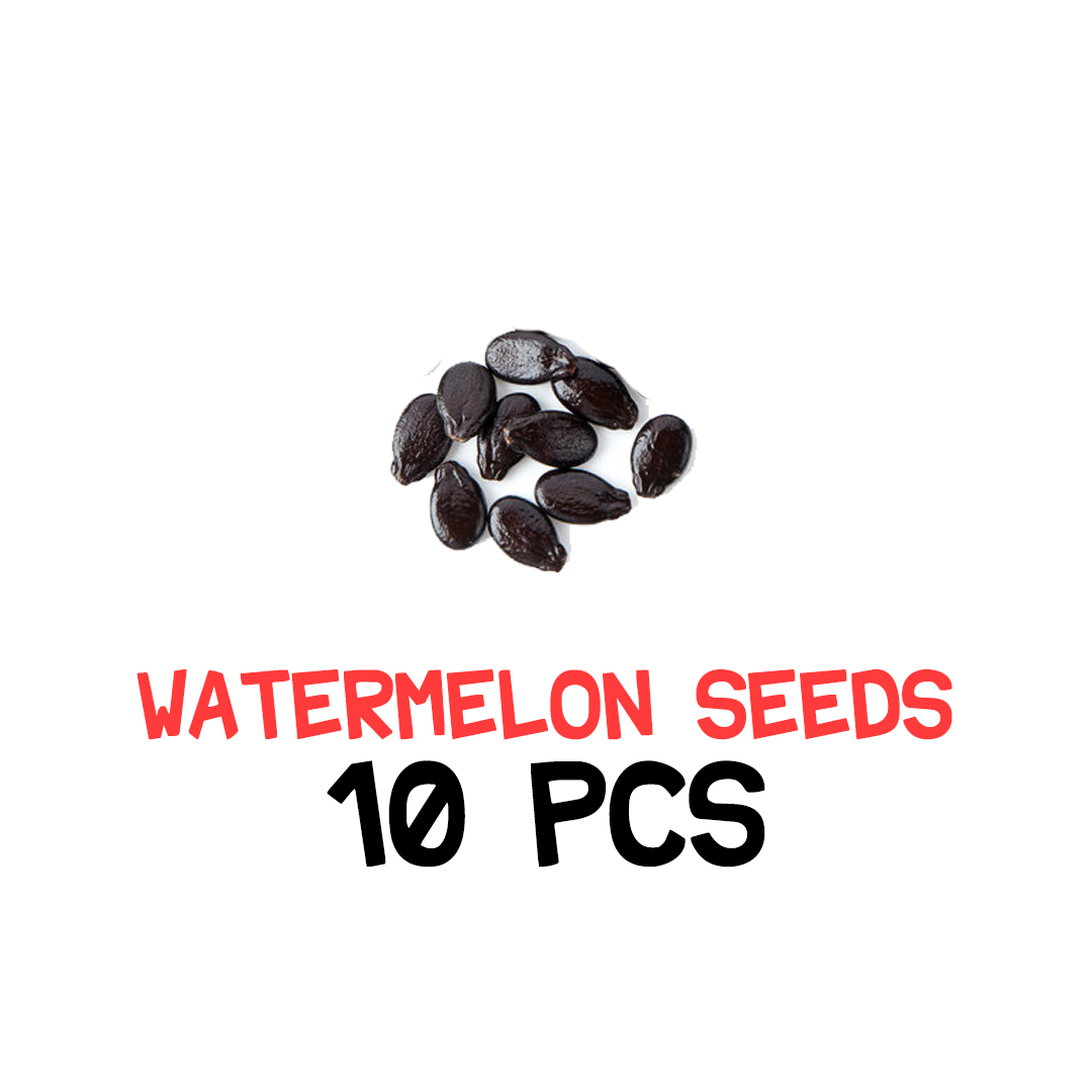 CAECOM- WATER MELON SUGARBABY/WORLDS BEST SEEDS/SEEDS TO THE FILIPINO ...