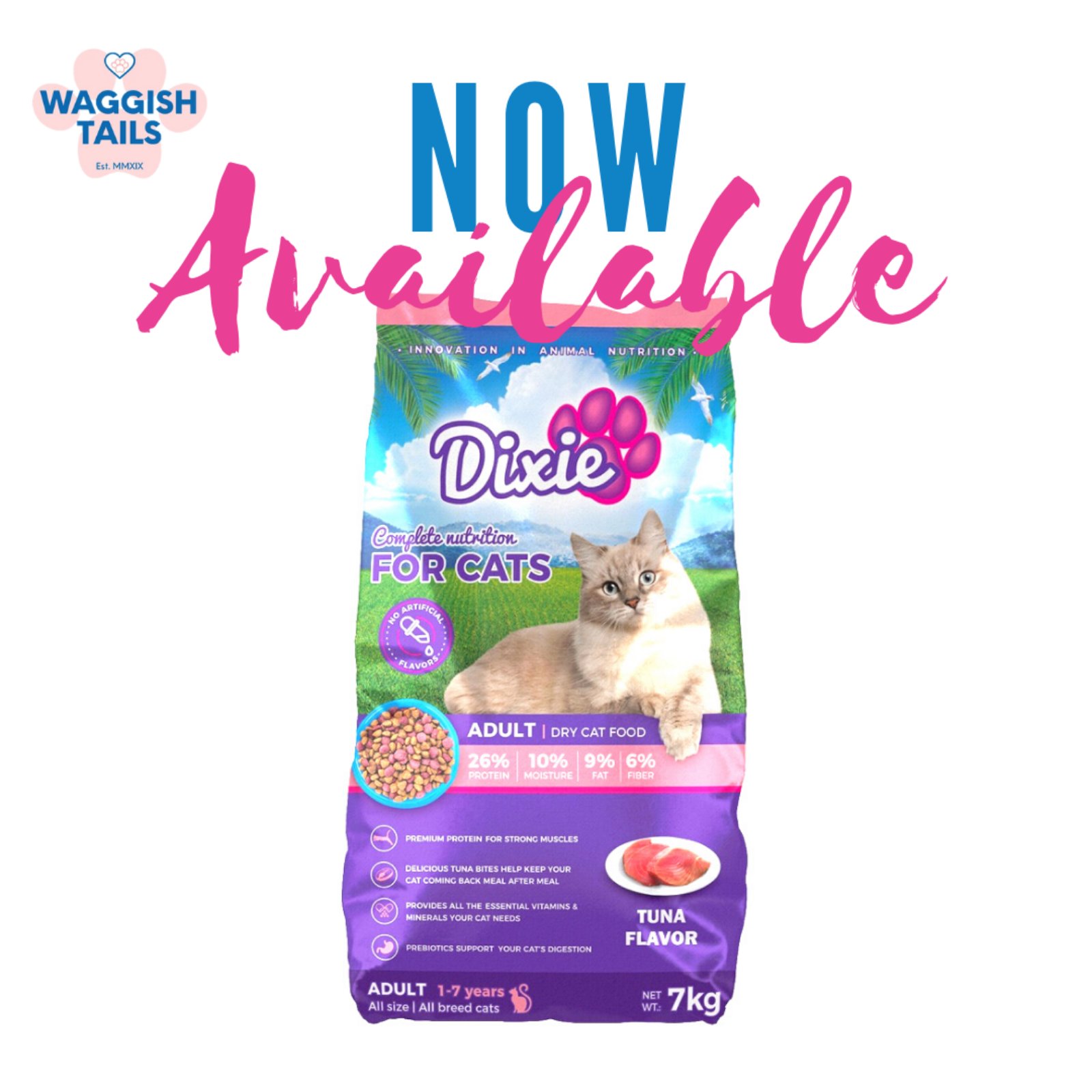 Dixie Adult Cat Food - Tuna (1kg REPACKED) | Lazada PH