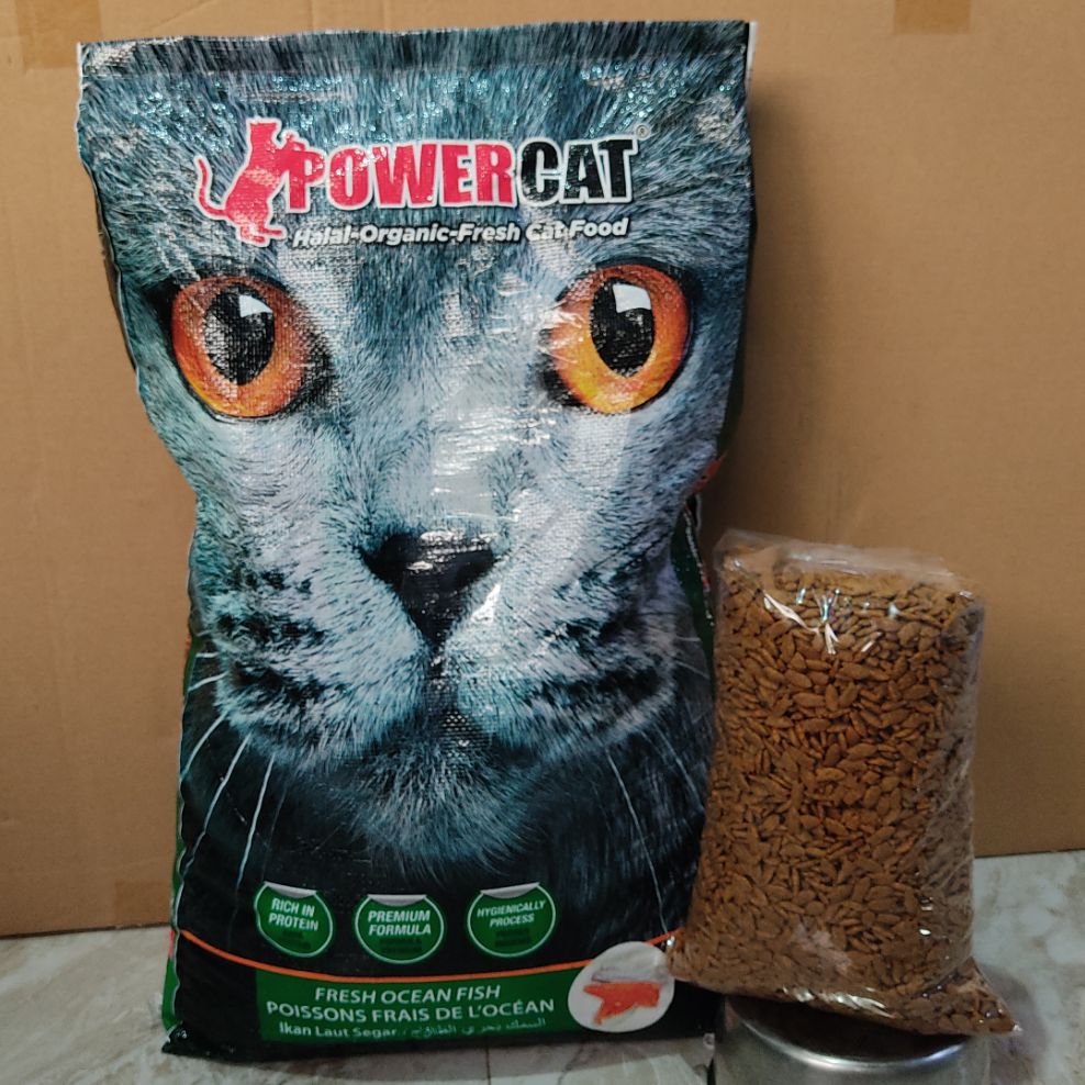 Powercat Cat Food Philippines Review at Mary Eklund blog