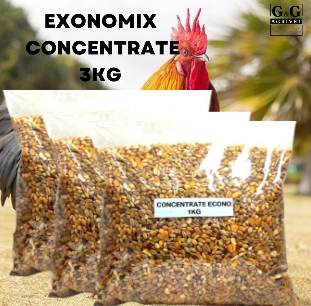 [G&G AGRIVET] 3KG ECONOMIX CONCENTRATE / FEED SUPPLEMENT FOR GAMEFOWL ...