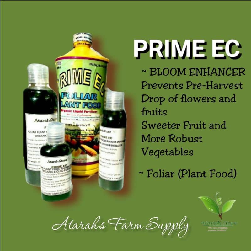 PRIME EC Bloom Enhancer Foliar Plant Food Organic Fertilizer | Lazada PH