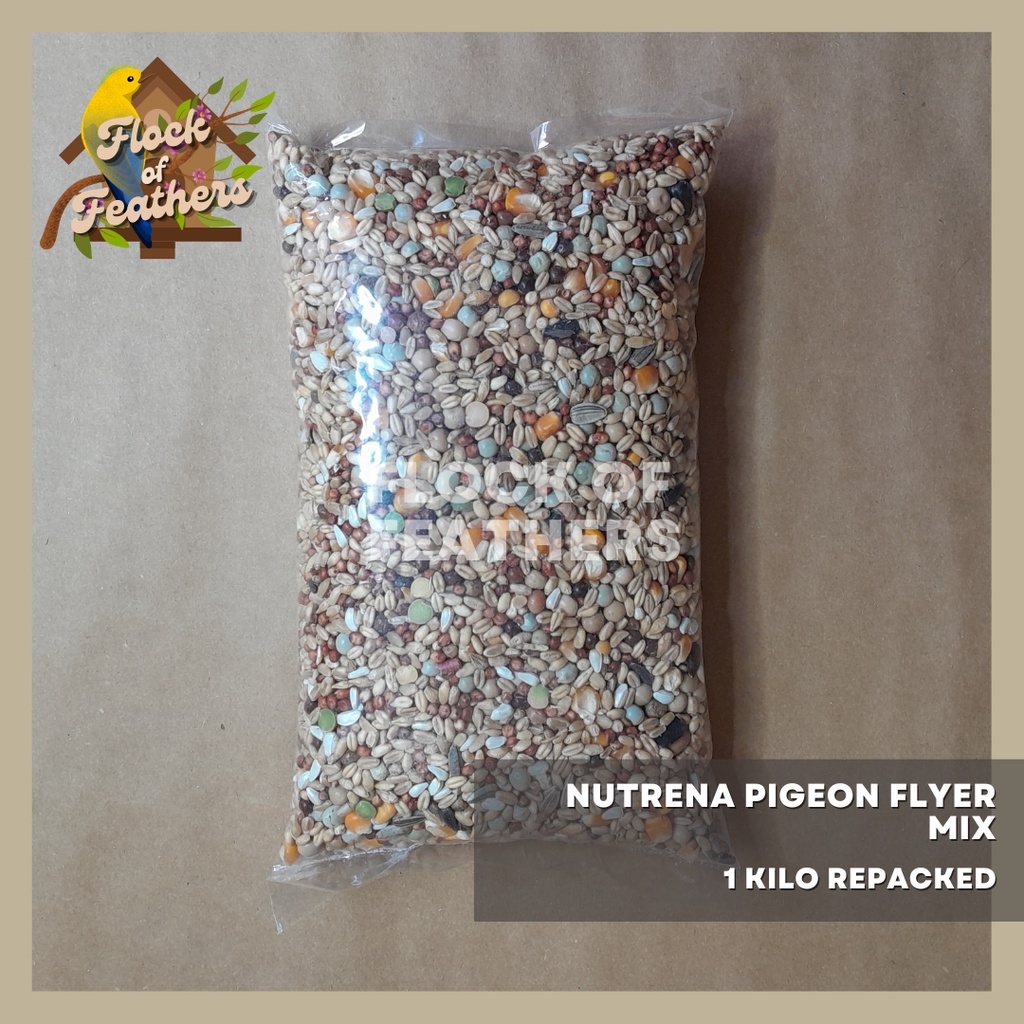 NUTRENA PIGEON FLYER MIX 1 KILO (REPACKED) | Lazada PH