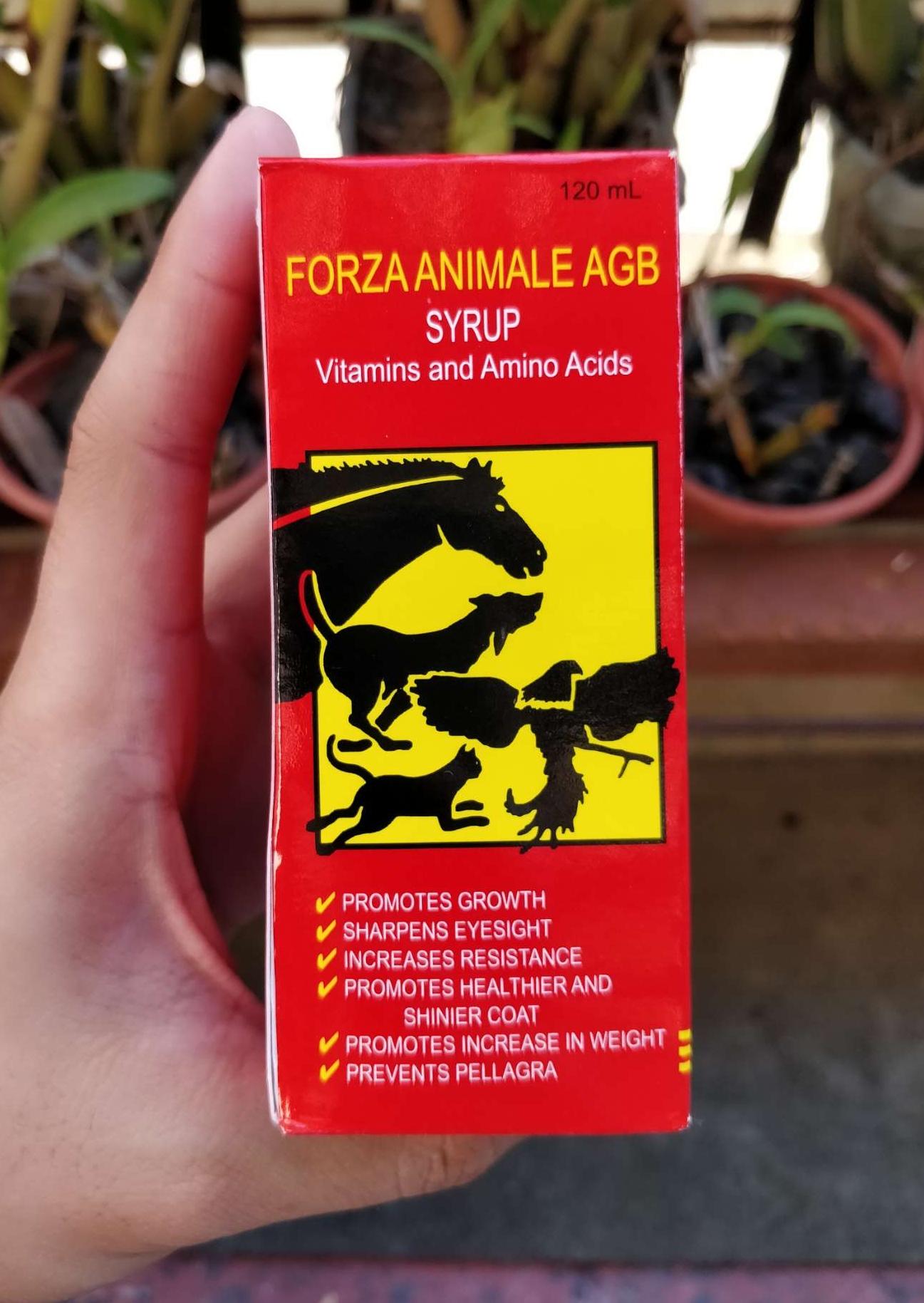 FORZA ANIMALE AGB - GROWTH ENHANCER SYRUP FOR PETS - 120 ml 2023 ...