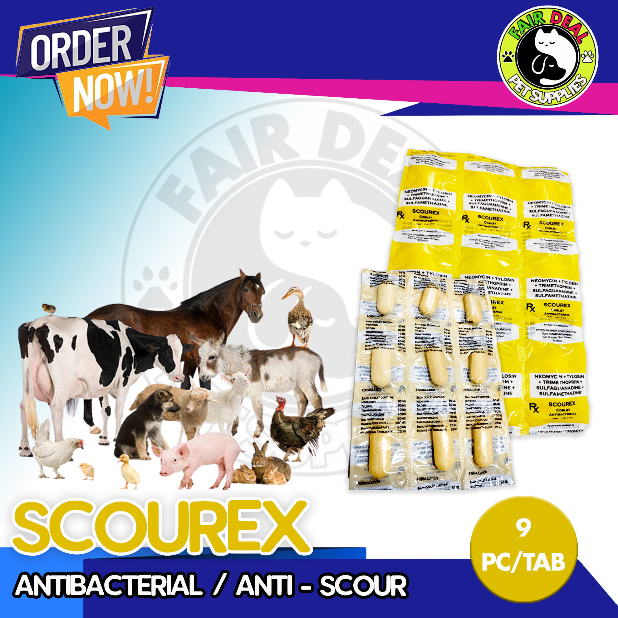 SCOUREX Coblet Antibacterial (9 tablets) | Lazada PH