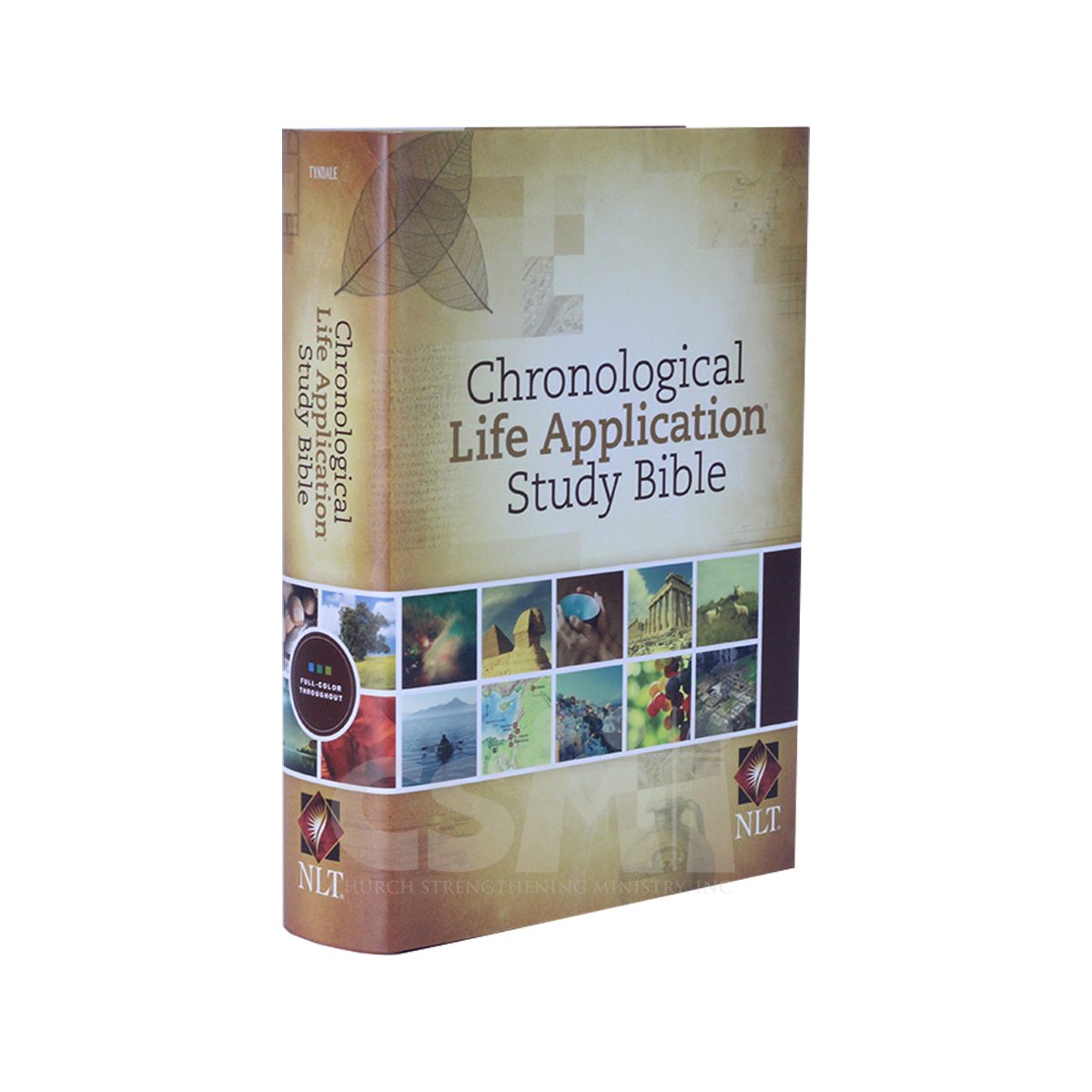 NLT Chronological Life Application Study Bible | Lazada PH