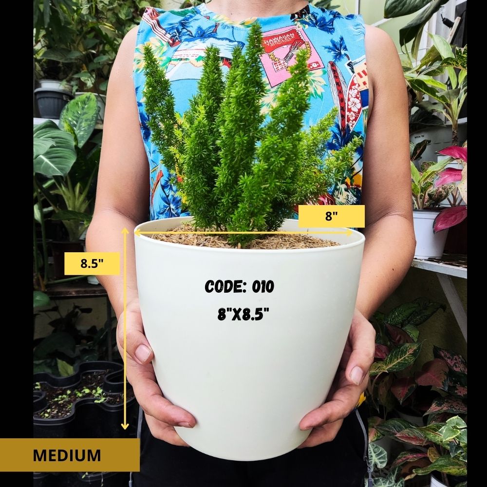 TGH | Elegant and Luxurious Yayamanin Pots for plants small to big size ...