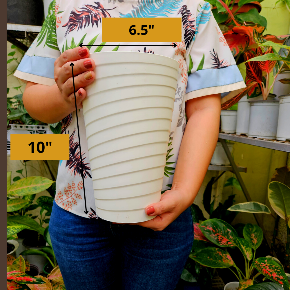 Elegant White Yayamanin Pots for Minimalist Classy Tall Slim Pots for ...