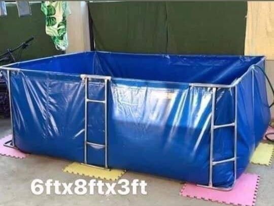 5X8X3FT POOL TRAPAL ONLY NO FRAME | Lazada PH