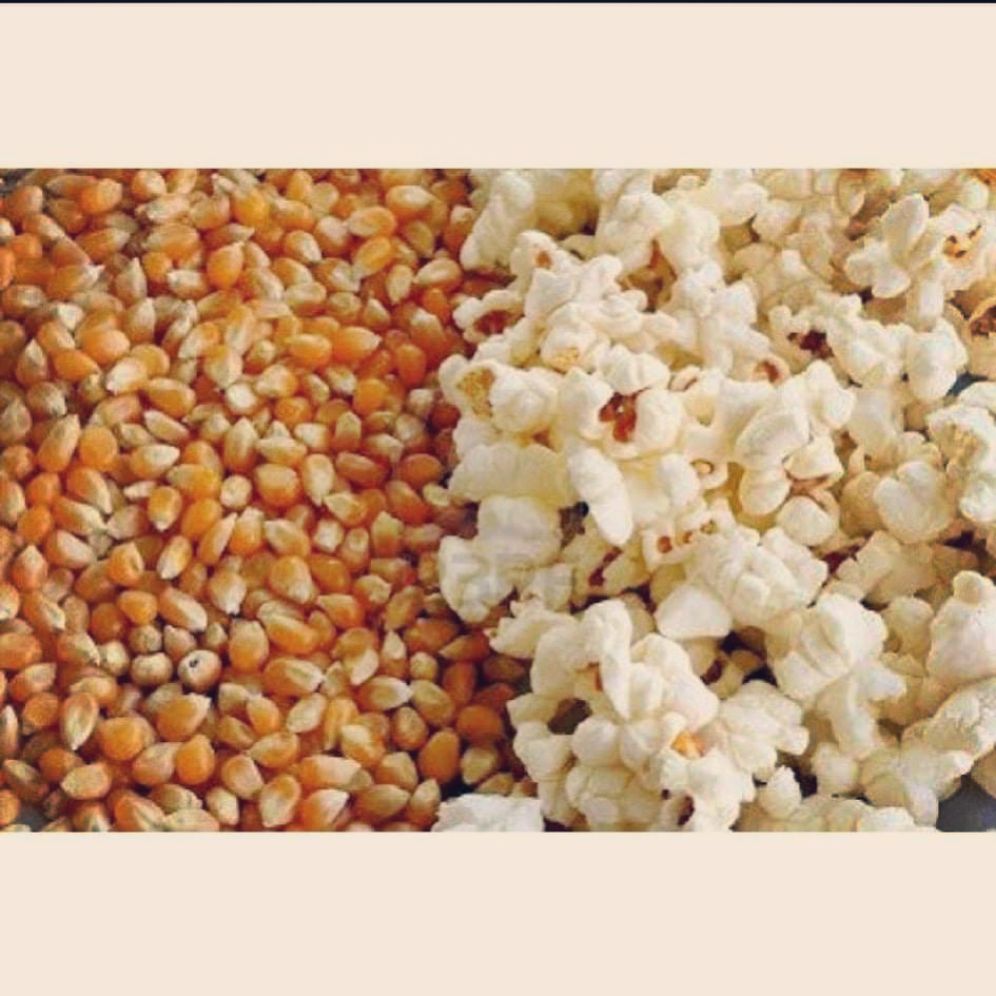 Popcorn Kernel 1Kg. | Lazada PH