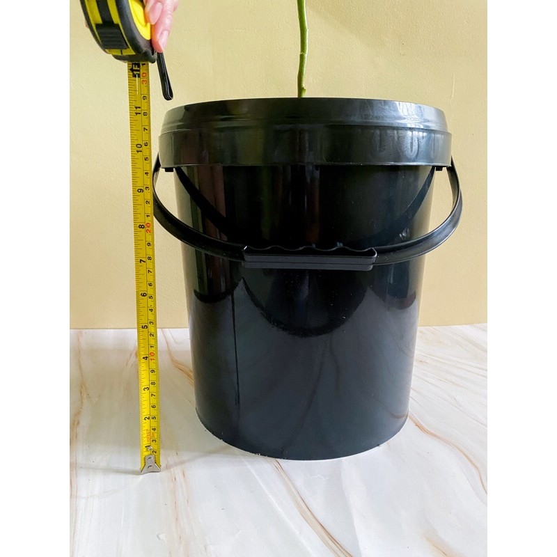 Kratky hydroponics Bucket Large Capacity 12L (3.2 Gallons) | Lazada PH