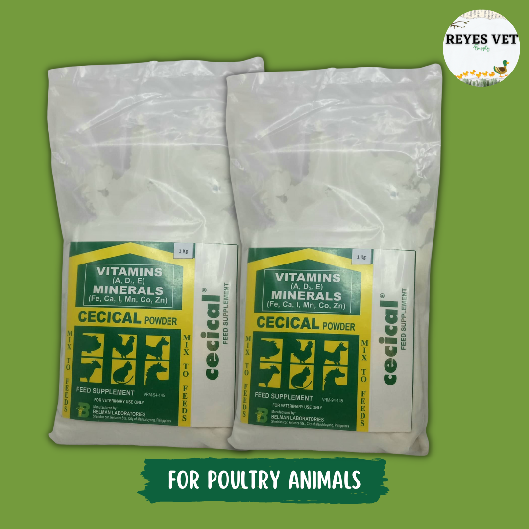 [VET SUPPORT] 2kg CECICAL POWDER 1000g per pack FOR GAMEFOWL ...