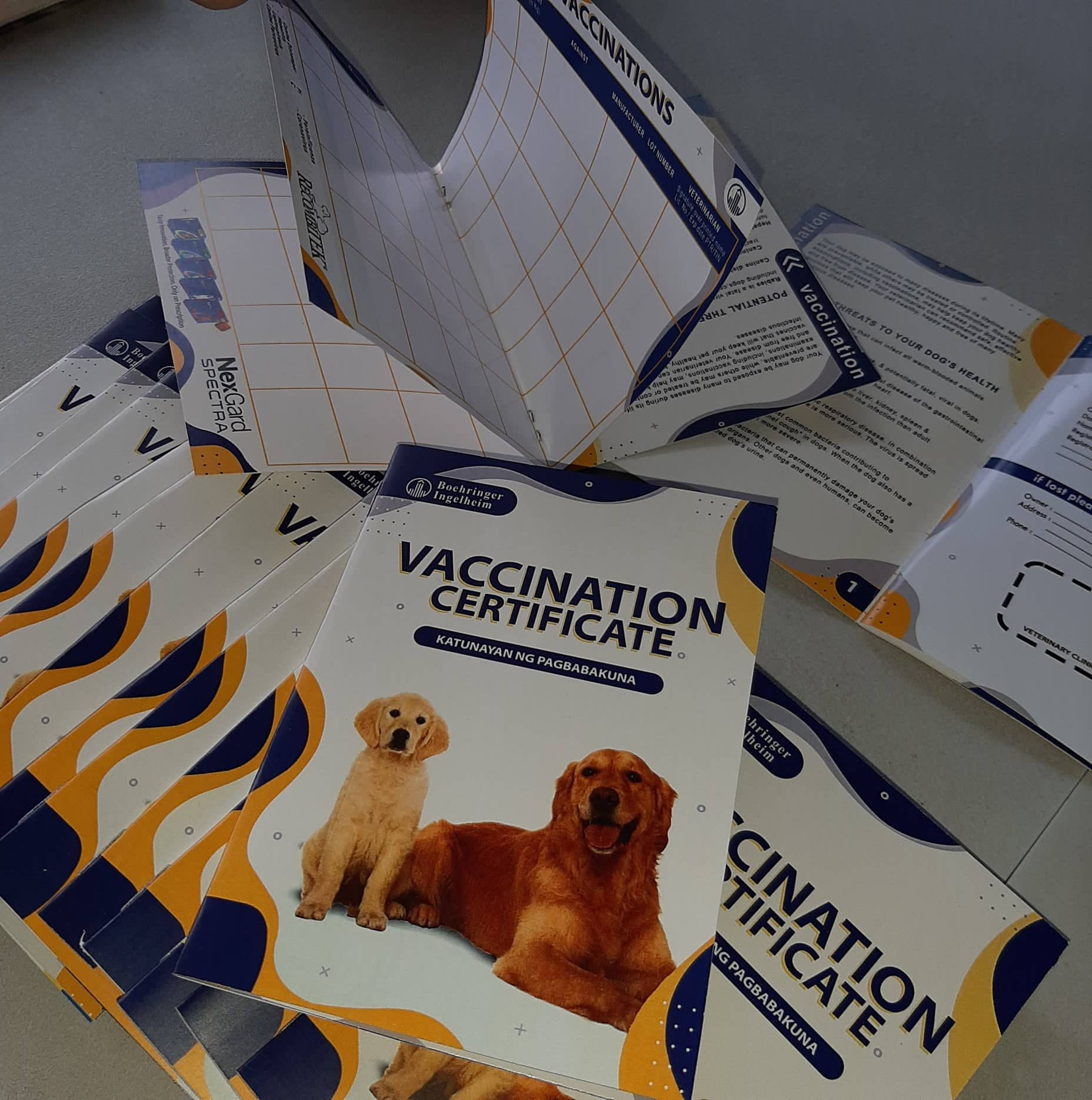 Pet Card Vet Card Vet Certificate | Lazada PH