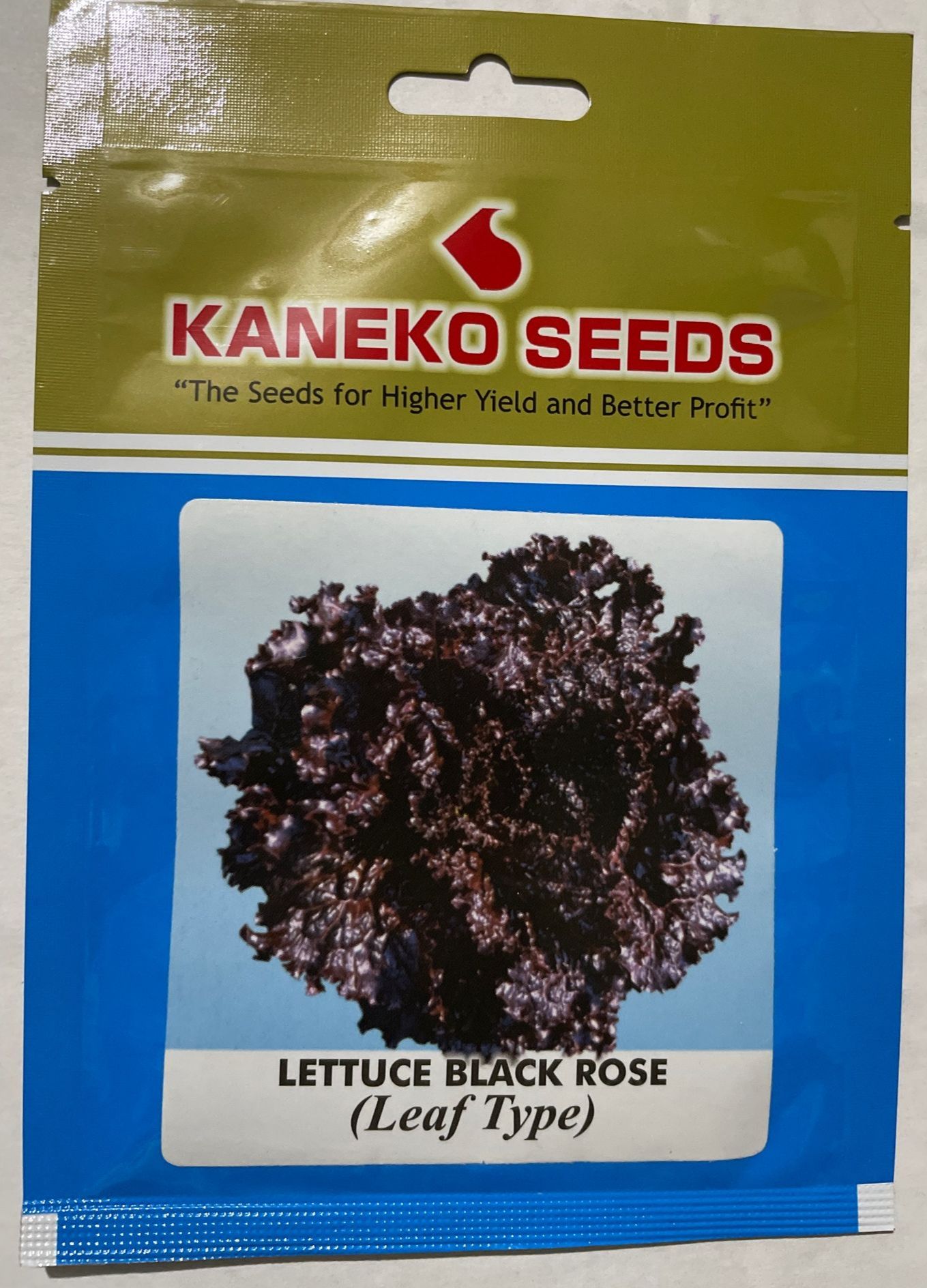 Black Rose Lettuce ( Leaf Type) (1 gram) Kaneko Seeds | Lazada PH
