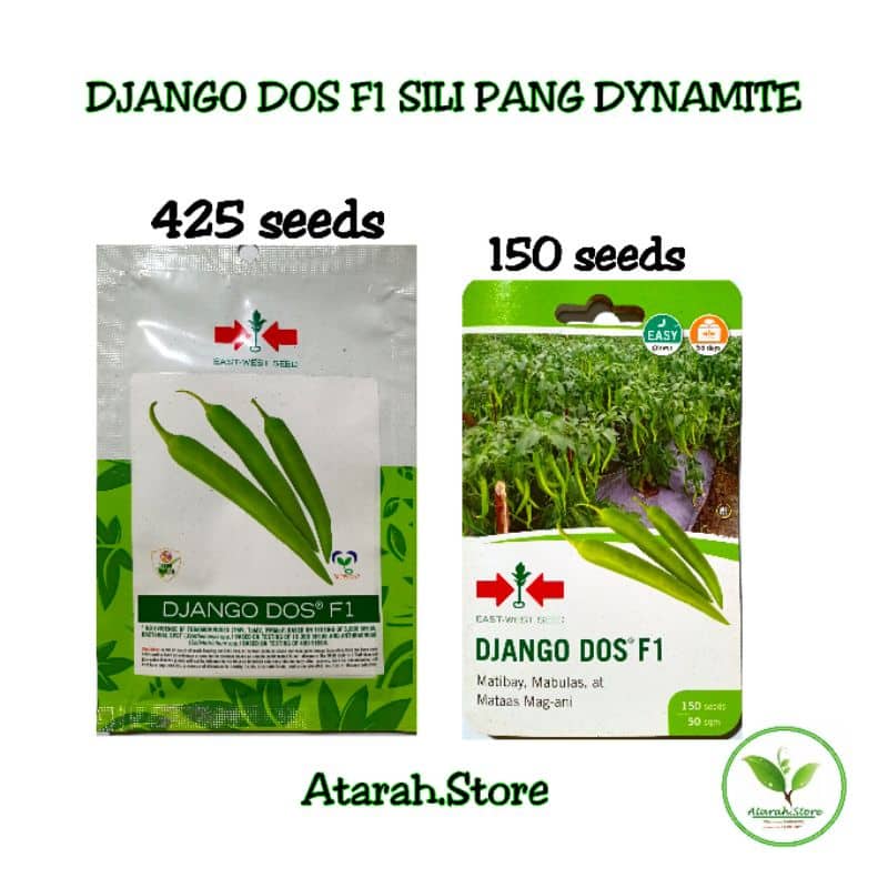 Hybrid DJANGO DOS F1/ DJANGO F1 Sili Green Pangsigang & Pang Dynamite ...