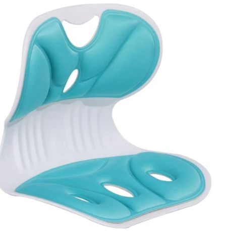 Posture Corrector Chair LumbarBack Support Chair Cushion Curable Chair ...